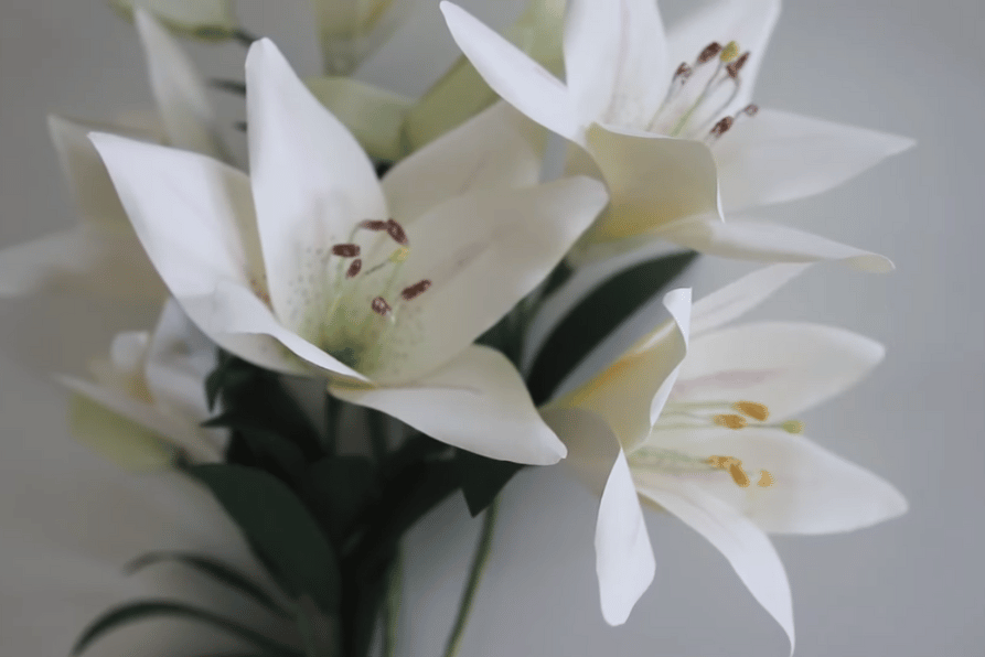 How to Make a Paper Lily So Realistic, In Just 5 Steps